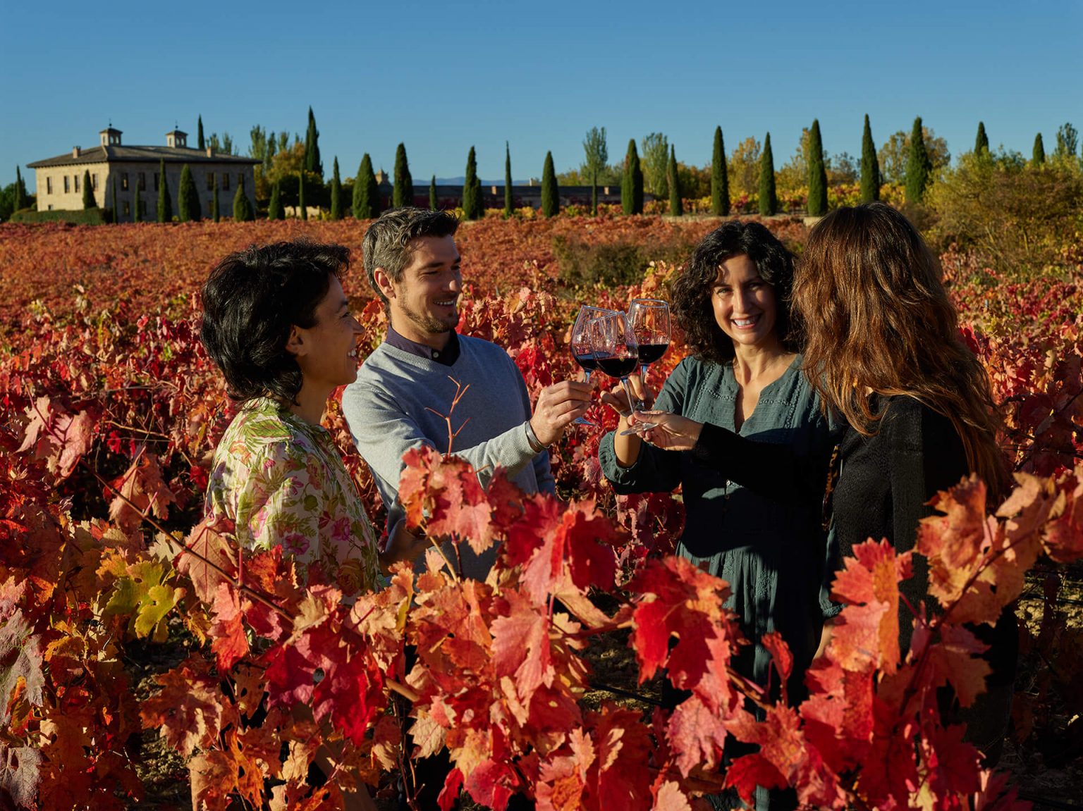 Winery Hopping. A perfect introduction to Rioja Wines